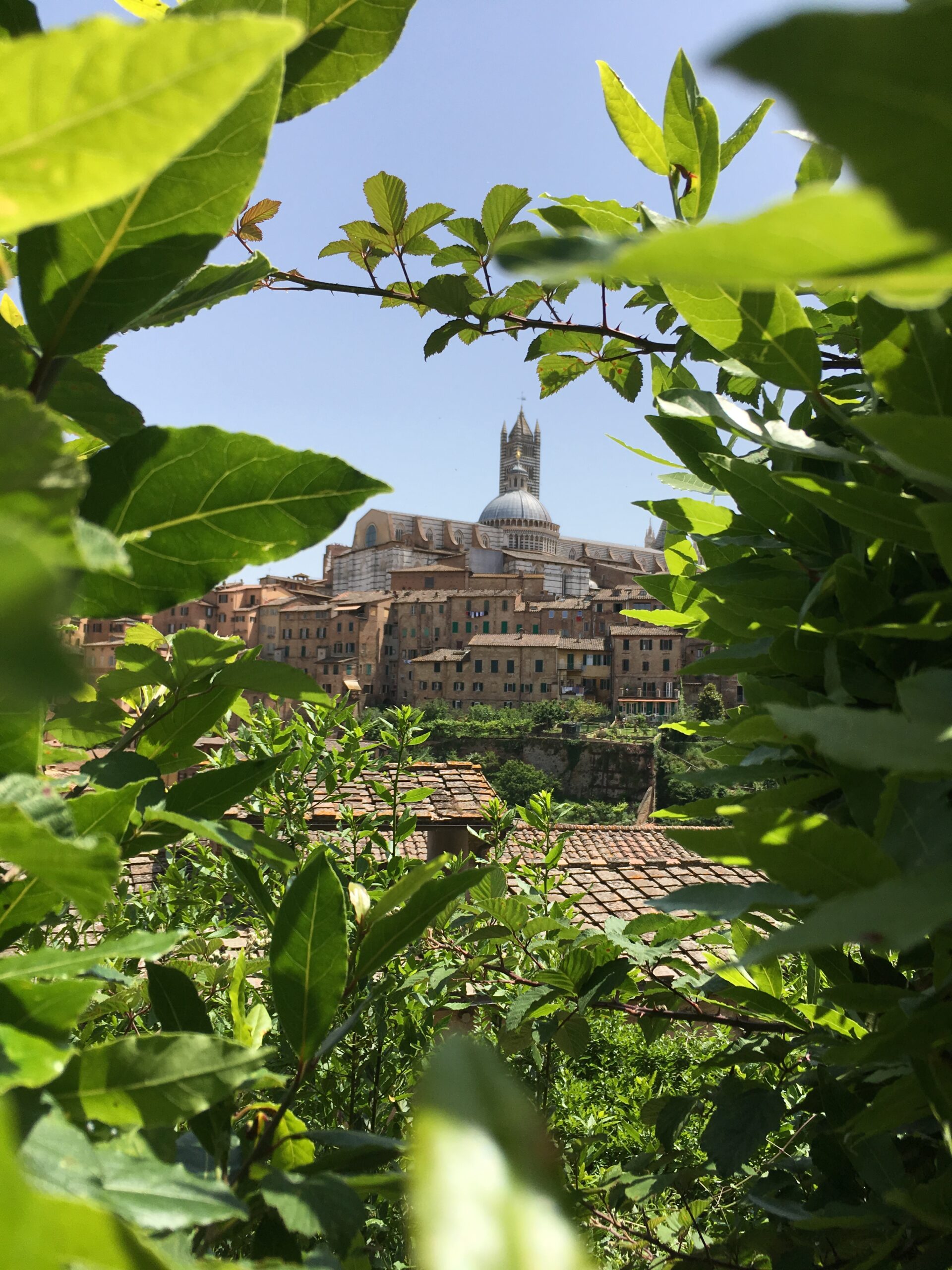 Study Abroad - Italian Dream Academy